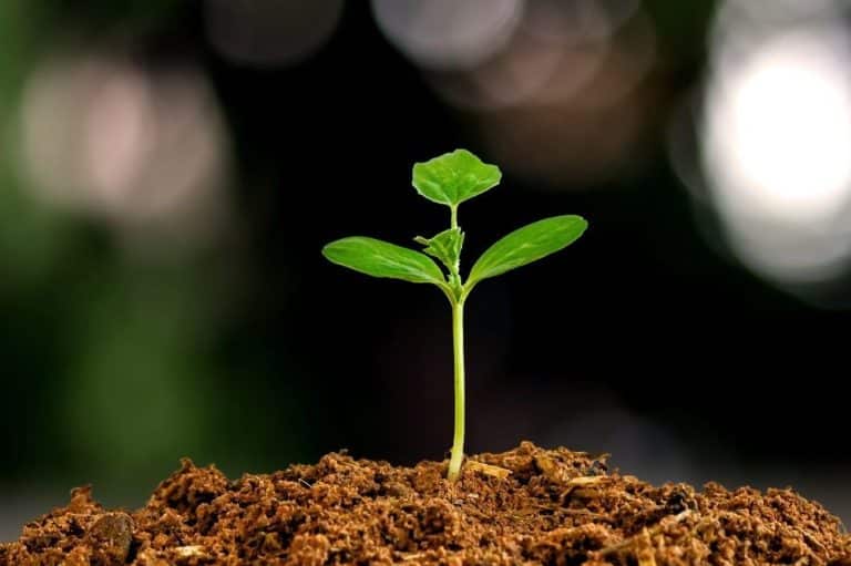 Recycle World – Less Waste, More Awesome!